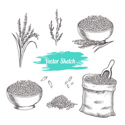 Canva Bag Flour Vector Images (over 160)