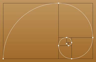 Golden Ratio Vector Images (over 1,500)