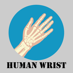 Wrist Vector Images (over 41,000)