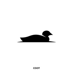 Graphic template of coot silhouette logo Vector Image