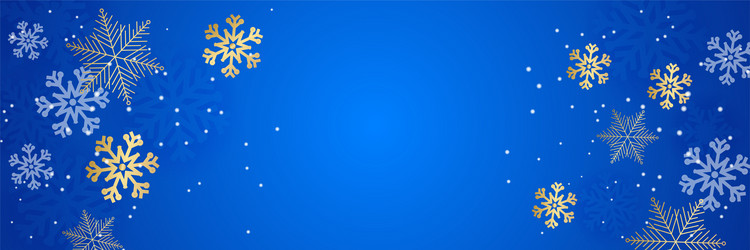 Bright snow blue snowflake design template banner Vector Image