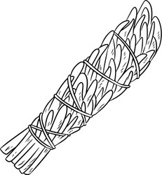 Sage Smudge Vector Images (over 210)