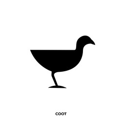 Graphic template of coot silhouette logo Vector Image