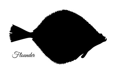 Flounder Vector Images (over 1,800)