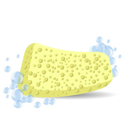 Set sponge Royalty Free Vector Image - VectorStock
