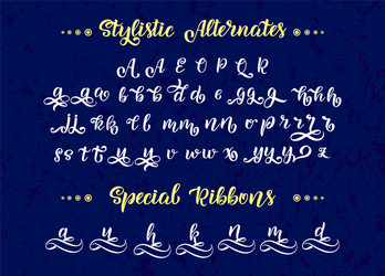 Hand drawn typeface brush painted letters Vector Image