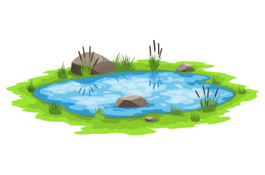 Natural pond outdoor scene small blue decorative Vector Image