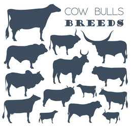 Angus Cattle Vector Images (over 1,100)