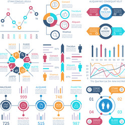 Infographic charts bar graphs steps and options Vector Image
