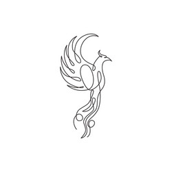 One continuous line drawing elegant phoenix Vector Image