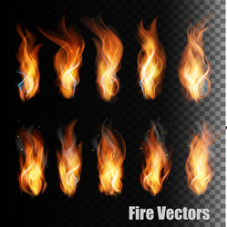 Campfire flame flat red hot fire burn shape Vector Image
