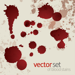 Blood Stain Texture