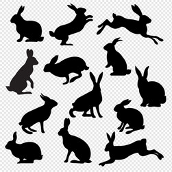 Big set rabbit isolated white background Vector Image