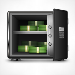 Bank open safe with money Royalty Free Vector Image