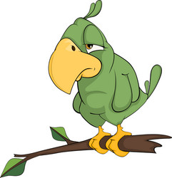 Bird Sad Parrot Vector Images (80)