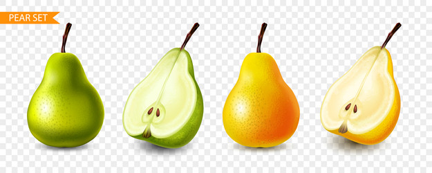 Realistic pear Royalty Free Vector Image - VectorStock