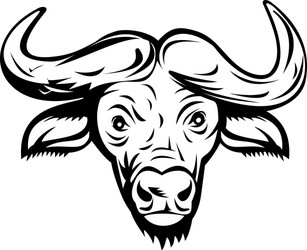 Cape Buffalo Vector Images (over 100)