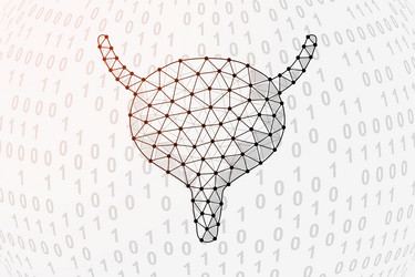 Low Code Vector Images (over 1,200)