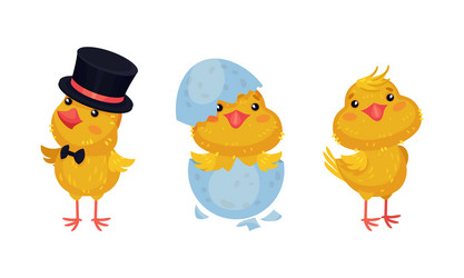 Chicken in Top Hat Vector Images (38)
