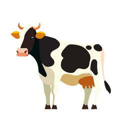 Flat cow design Royalty Free Vector Image - VectorStock