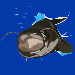Catfish Vector Images (over 2,200)