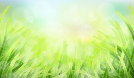 Background with grass and sky Royalty Free Vector Image