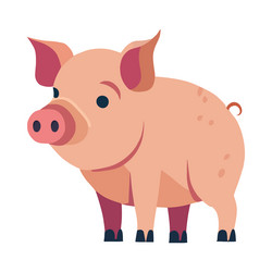Flat pig image Royalty Free Vector Image - VectorStock