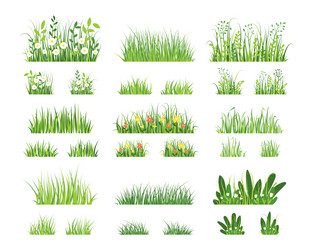 Cartoon Grass Texture Vector Images (over 4,900)