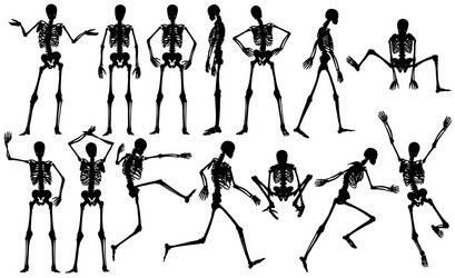 Skeletons Vector Images (over 120,000)