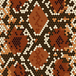 Python scales texture background design template Vector Image