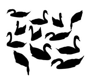 Swan Pose Vector Images (over 240)