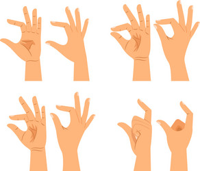 Hand gestures human palms and wrist showing Vector Image