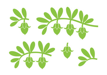 Jojoba Oil Logo Vector Images (over 140)