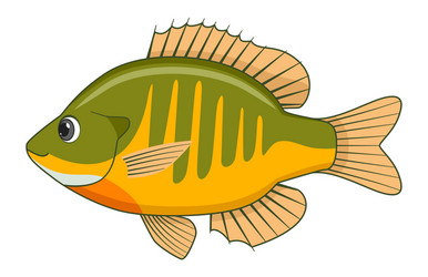 Panfish Vector Images (22)