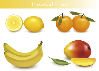 Tropical Fruit Vector Images (over 180,000)