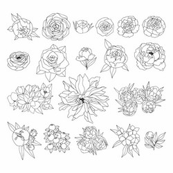 A set contour flowers linear drawing Royalty Free Vector