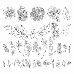 A set contour flowers linear drawing Royalty Free Vector