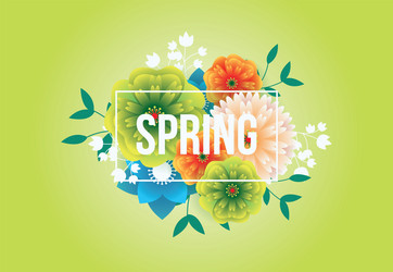 Floral spring graphic design with colorful flowers