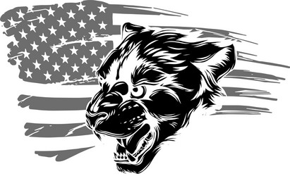 Tiger head and american Royalty Free Vector Image