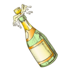 Champagne bottle explosion Royalty Free Vector Image