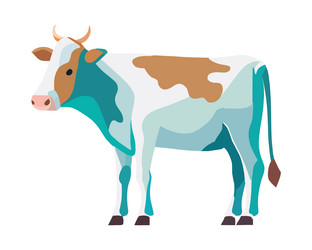 Flat cow Royalty Free Vector Image - VectorStock