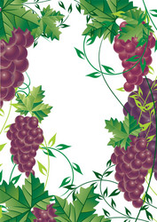 Grape Vine Vector Images (over 30,000)