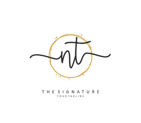 N t nt initial letter handwriting and signature Vector Image
