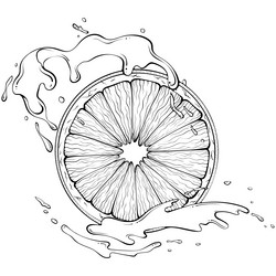 Orange Slice Line Art Vector Images (over 2,200)