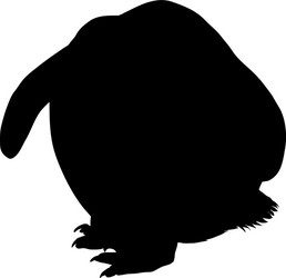 Penguin Side View Vector Images (71)