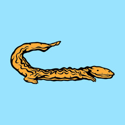 Chinese giant salamander hellbender icon Vector Image