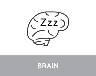 Sleep linear icon Royalty Free Vector Image - VectorStock