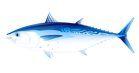 Pelagic Fish Vector Images (over 110)