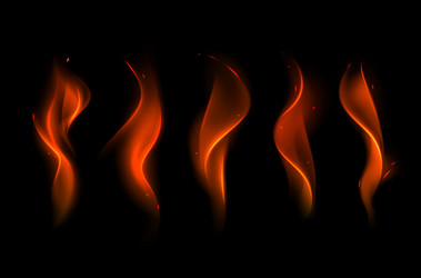 Set of different red scarlet fire flame Royalty Free Vector