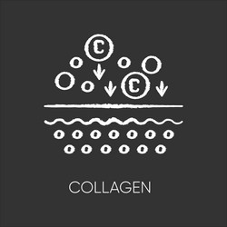 Collagen Logo Vector Images (over 1,800)